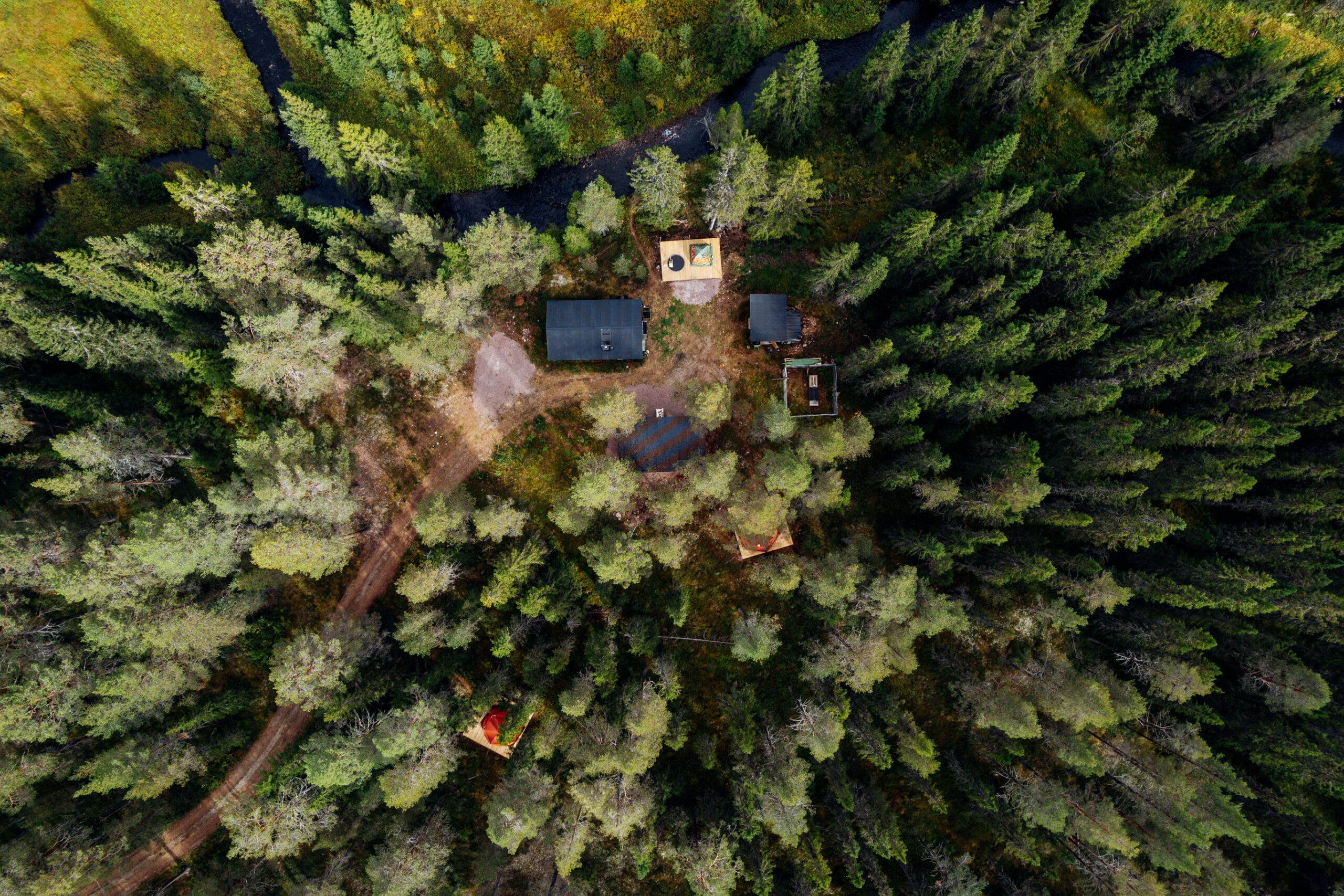Curam x Forest Camp – Retreat för vila, natur & self-care